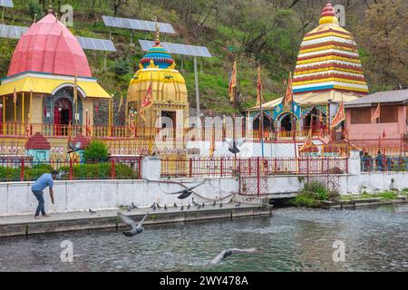 Mattan Temple, Pahalgam, Kashmir, India Stock Photo - Alamy