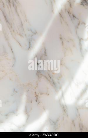 White marble with gray veins, natural photo texture, front view. Close ...