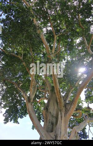 Kayu Putih, Bali in Indonesia - February 02 2024: people visit the ...