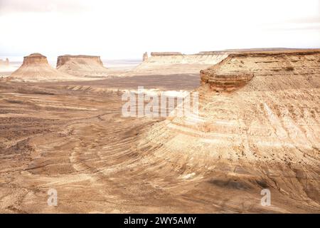 Bozzhyra tract in Kazakhstan, a scenic and arid desert landscape ...