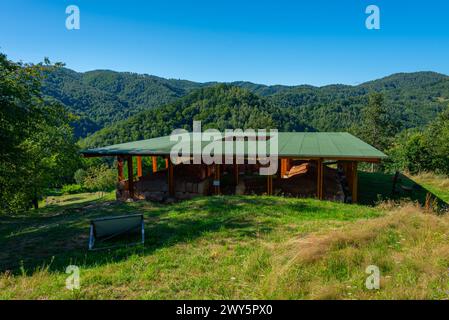 Dacian Fortress Costesti in Orastie mountains in Romania Stock Photo ...