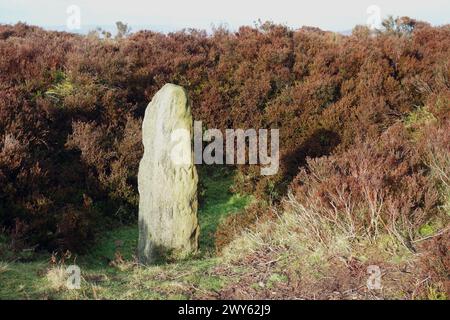 Lanshaw Lass an Old Boundary Saxon Stone on the Ebor Way/Dales Way Link ...