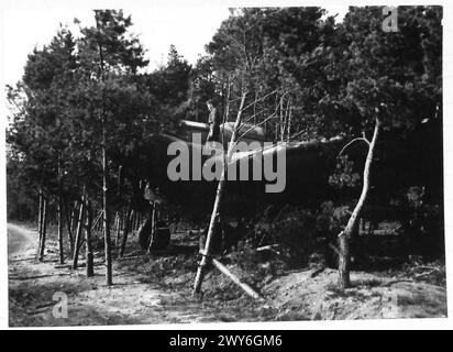 THE LUFTWAFFE IN HIDING - Two pictures of two German aircraft which ...