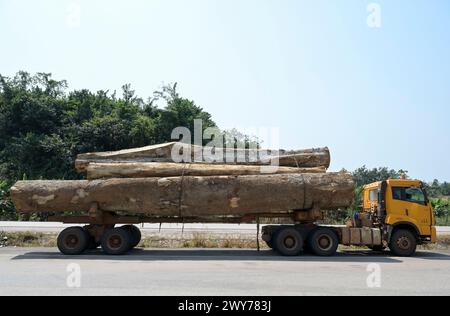 GHANA, Eastern region, Nkawkaw, timber transport on highway from Kumasi ...