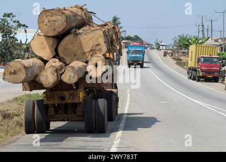 GHANA, Eastern region, Nkawkaw, timber transport on highway from Kumasi ...