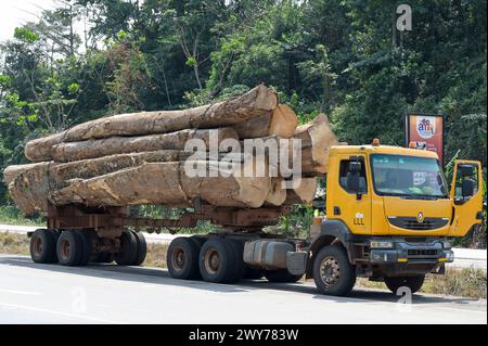 GHANA, Eastern region, Nkawkaw, timber transport on highway from Kumasi ...