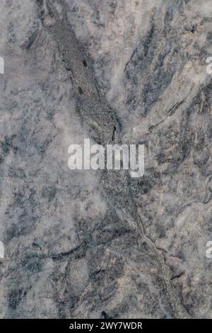 veins on grey Aliveri marble from Greece Stock Photo - Alamy