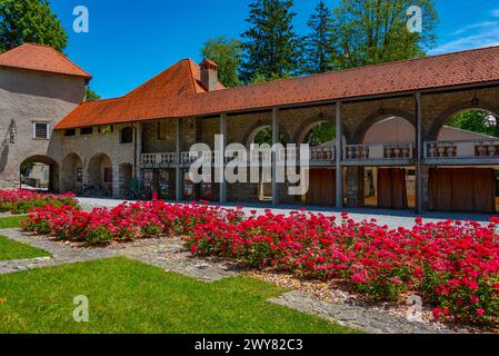 Ribnica grad is an ancient castle in Ribnica, Slovenia, with historical ...