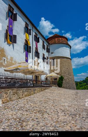 View of Sevnica castle in Slovenia Stock Photo - Alamy