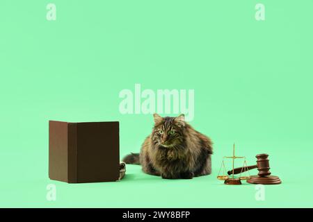 Cute cat with justice scales and judge's gavel on green background ...