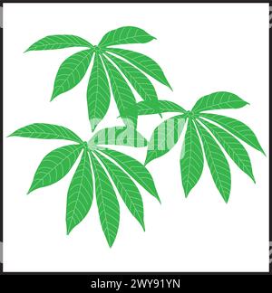 Cassava leaf icon vector symbol design Stock Vector Image & Art - Alamy