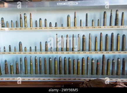 Collection of hunting firearms and ammunition displayed on wooden ...
