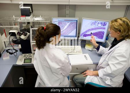 Confocal Microscopy