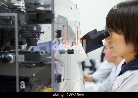 Student. Inverted optical microscope. With incubator chamber for in ...