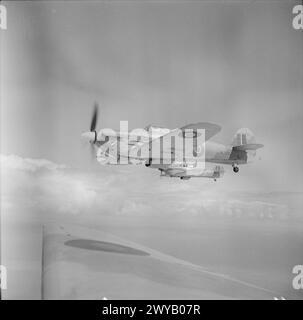 HURRICANE (HAWKER) MARK 2C - Rolls Royce Merlin XX engine. No. 1 ...