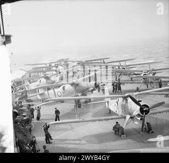 On 1 April 1942, a Fairey Albacore prepares to land on the flight deck ...