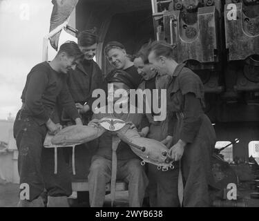 The 2nd Escort Group, including HMS Wren and HMS Starling, returned to ...