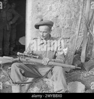 Military sniper is cleaning his combat weapon Stock Photo - Alamy