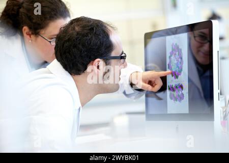 3D computational model of DNA packaging, research lab, IkerChem ...