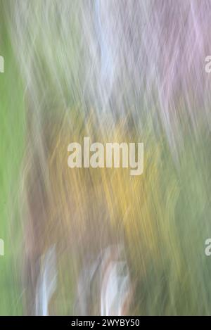 Abstract nature blur using intentional camera movement Stock Photo - Alamy