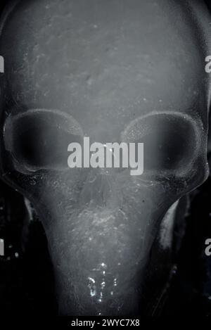 An icy skull on a black background. There are blurred areas in the ...