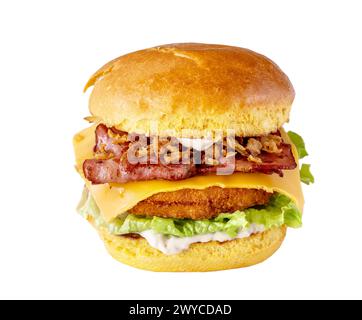 Crispy chicken burger with fried onions and french fries Stock Photo ...