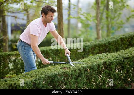 Hedge trimmers, Hand tool, Garden, Gardener pruning bush Stock Photo ...