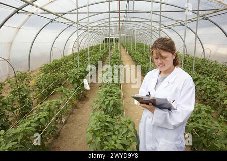 Biofumigation test: monitoring infected Gernika pepper plants, Neiker ...