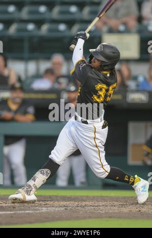 Bradenton, FL: Bradenton Marauders outfielder Shalin Polanco (35 ...