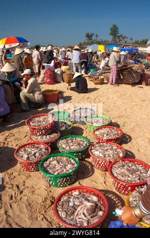 Baskets of octopuses on the beach at Mui Ne fish market in Vietnam in ...