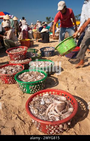 Baskets of octopuses on the beach at Mui Ne fish market in Vietnam in ...