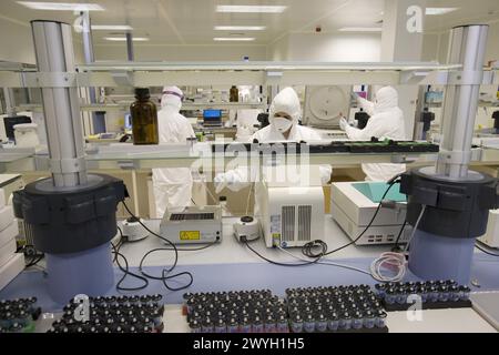 Research team mad cow disease (bovine espongimorme Encephalopathy) and ...