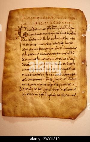 ´Glosas Emilianenses´ first examples of writing in Spanish and Basque ...