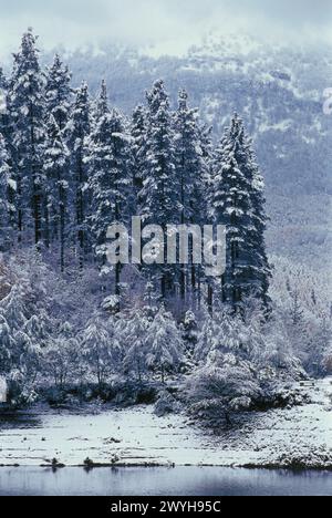 Legazpi. Guipúzcoa. Spain Stock Photo - Alamy