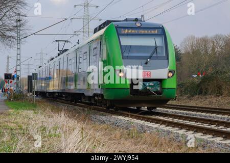 Local traffic trainon the railway line Stock Photo - Alamy