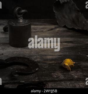 Weights for the antique Italian scale Stock Photo - Alamy