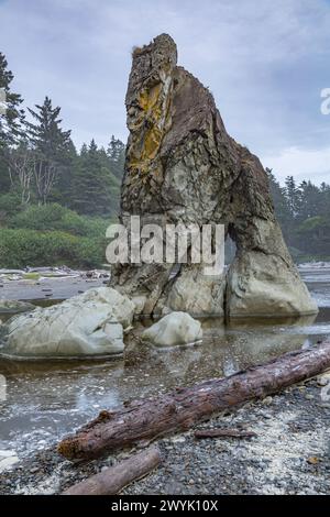 Large rock seastacks at Ruby Beach in the Olympic National Park near ...