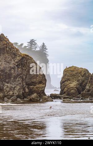 Large rock seastacks at Ruby Beach in the Olympic National Park near ...