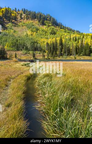 Stream running through grassy wetlands to Silver Lake in Big Cottonwood ...