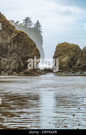 Large rock seastacks at Ruby Beach in the Olympic National Park near ...