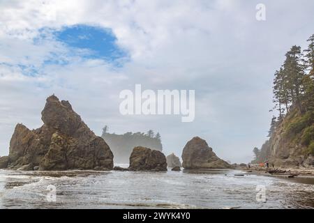 Large rock seastacks at Ruby Beach in the Olympic National Park near ...