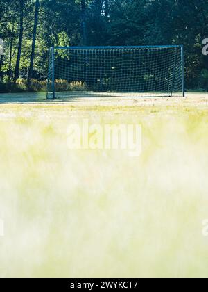Football field in sunlight Stock Photo - Alamy