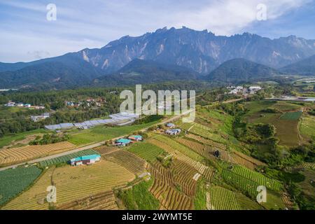 aerial view of Kundasang Sabah landscape and Mount Kinabalu at far ...