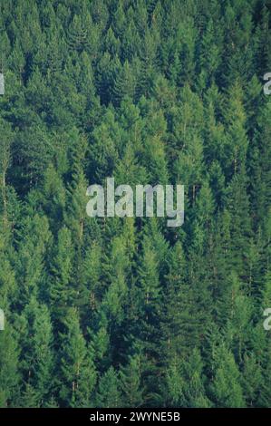 Legazpi. Guipúzcoa. Spain Stock Photo - Alamy