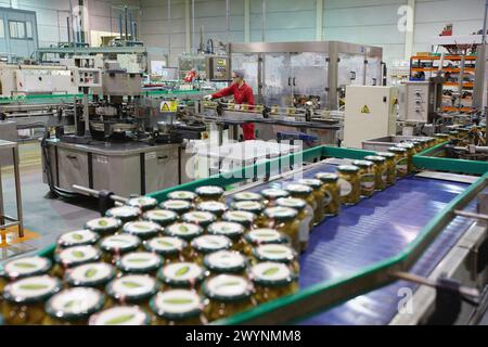 Labeling and packaging canned vegetables, Green bean, Canning Industry ...