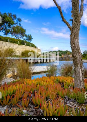 Beautiful landscapes at Royal Botanic Gardens Cranbourne, Melbourne ...