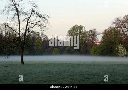 Morning fog in Prague's Stromovka park, Prague, Czech Republic, April 7 ...
