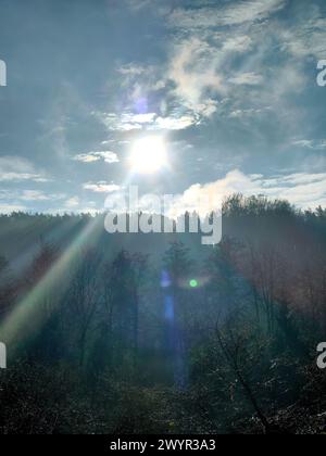 Shining sun with lots of rays over a forest Stock Photo - Alamy