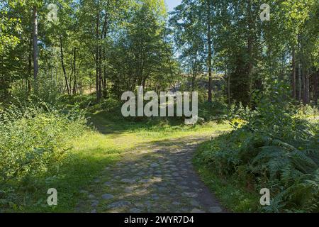 Old cobblestone path at Slåttmossen (oasis swamp) nature reserve in ...