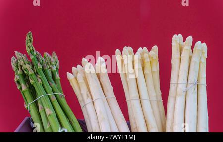 Zwingenberg, Germany. 08th Apr, 2024. Asparagus Queen Lena I, real name ...